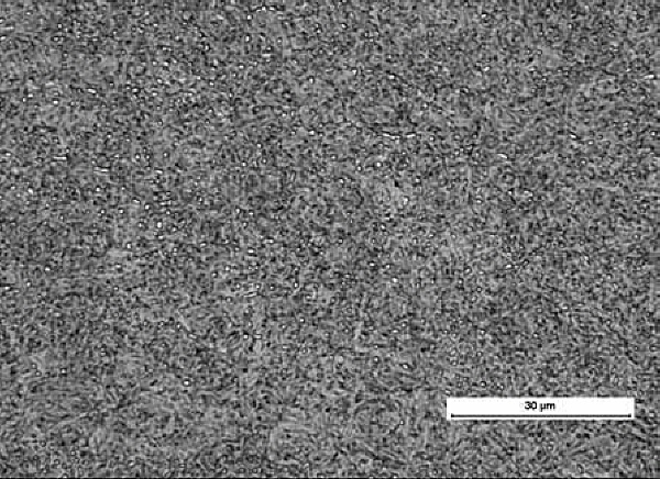 Сталь Sandvik 14C28N. Состав и свойства. ~ БЛОГ О ЗАТОЧКЕ