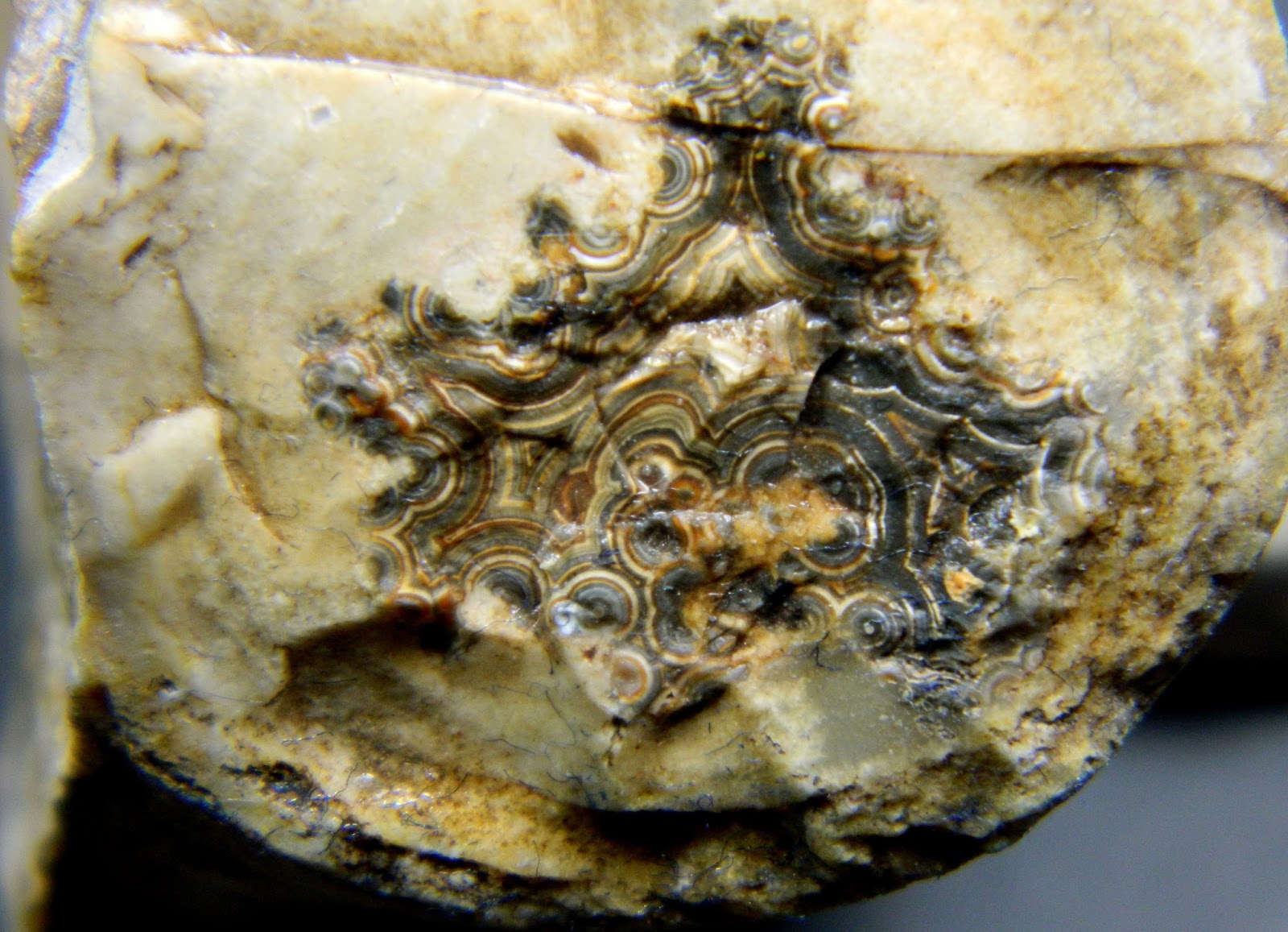 CSMS GEOLOGY POST: 2017