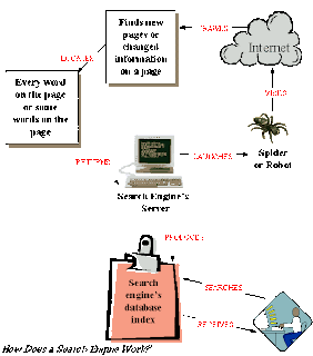How to work search engine? ~ The Hitanshu
