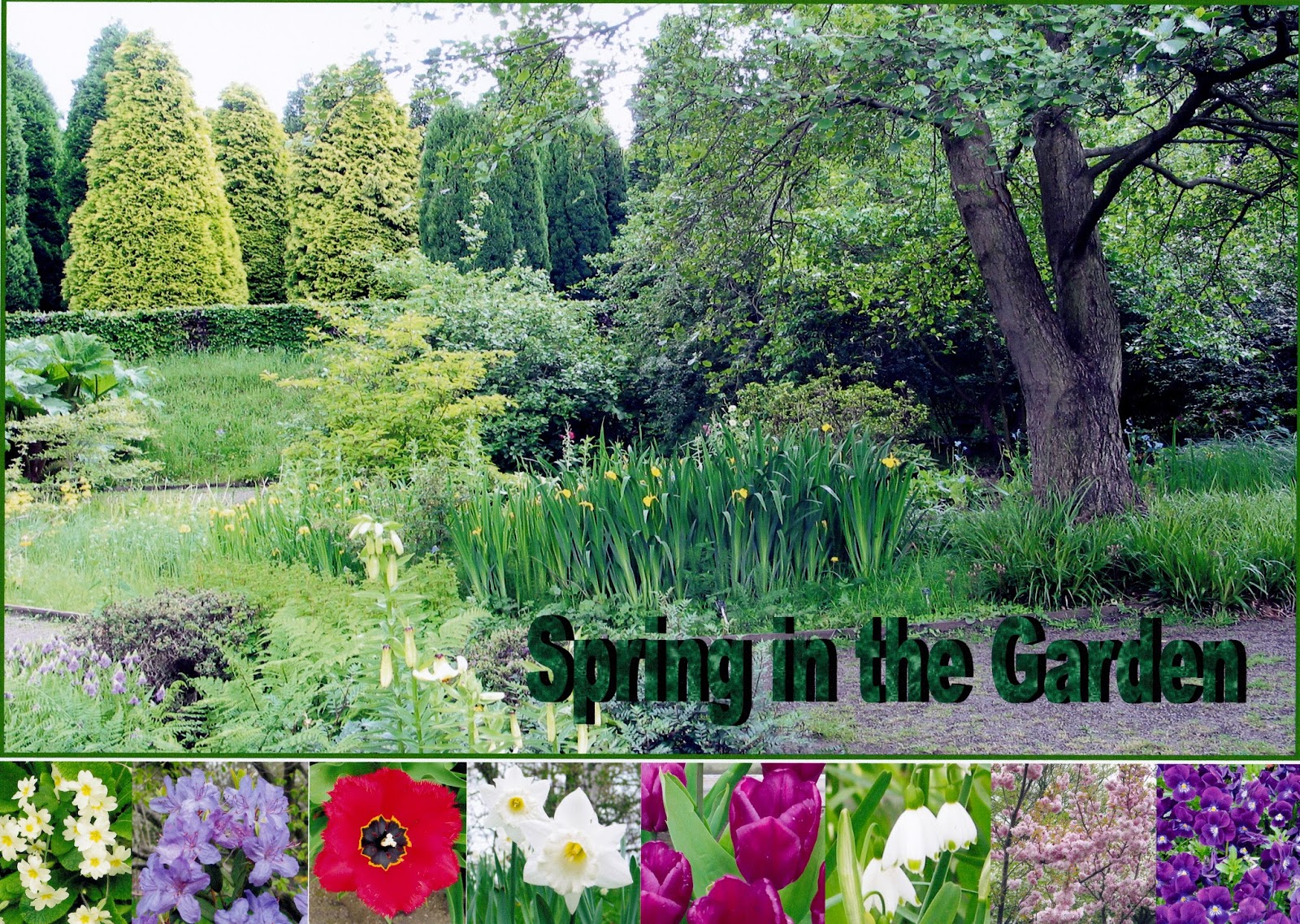 Durham Weaver: April 2016