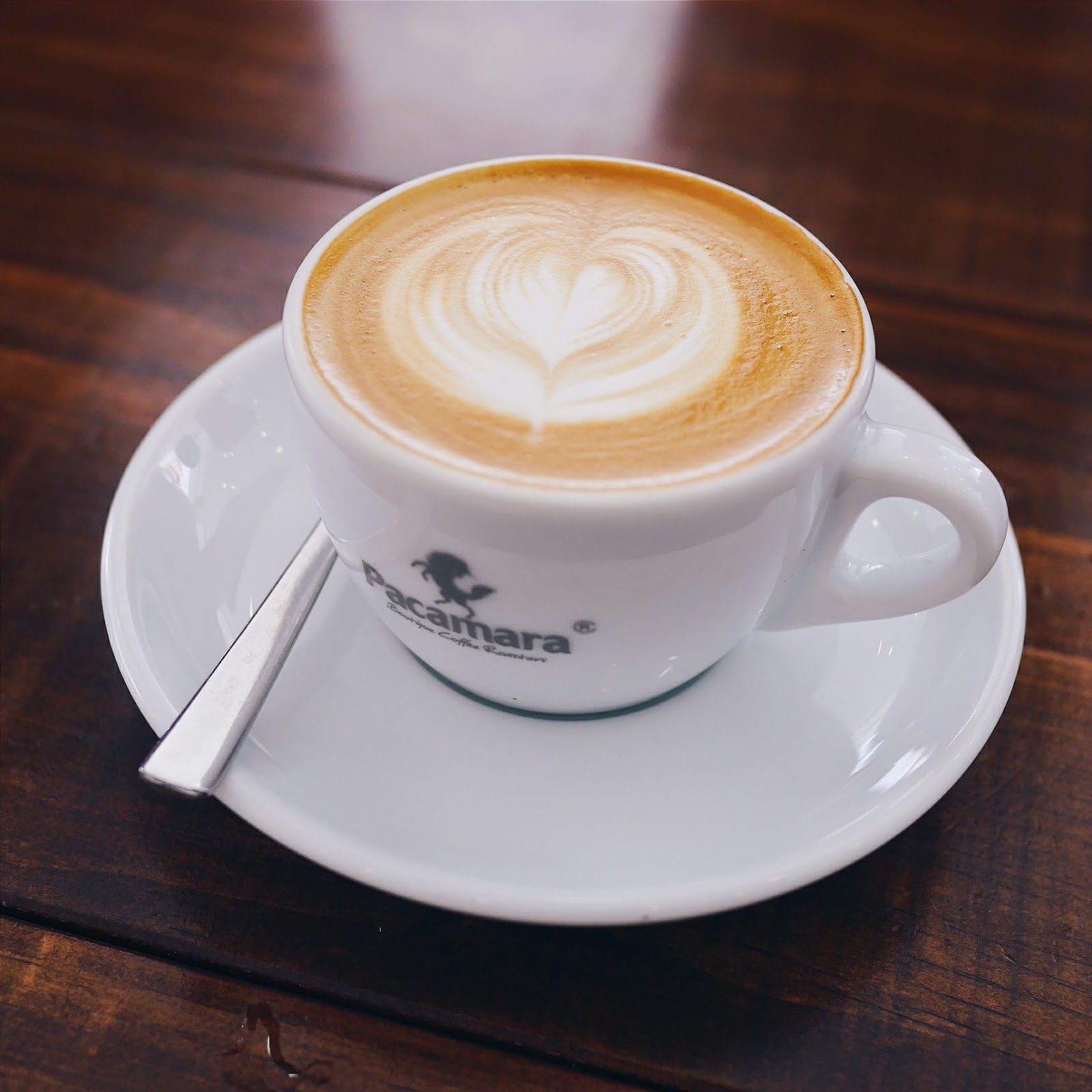 yellowfingers: Pacamara Coffee Roasters