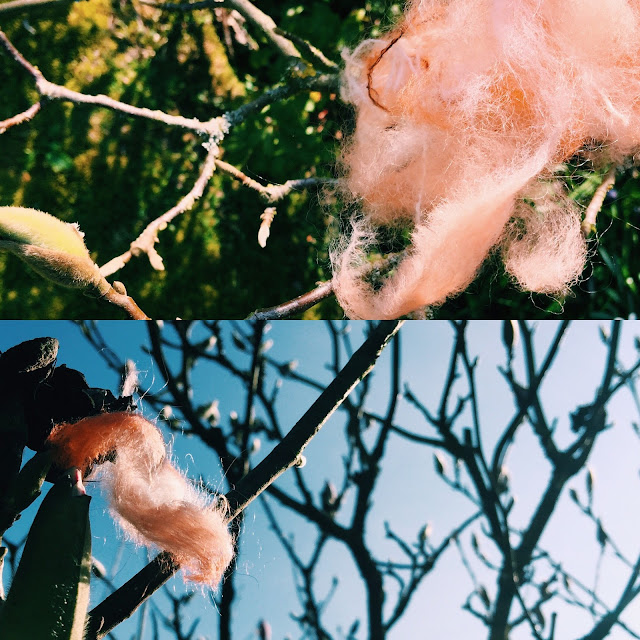 Espalhar sementes | o.Tempo.de.Criar.