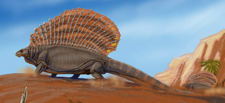 Criaturas del Pasado: Edaphosaurus