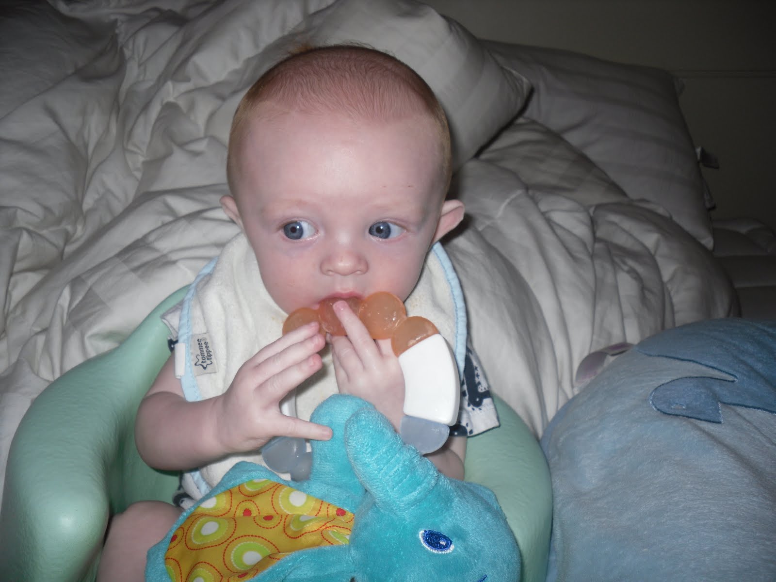 ~The Kelly Kids~: Last of May Pictures~Whew May is finally caught up!!