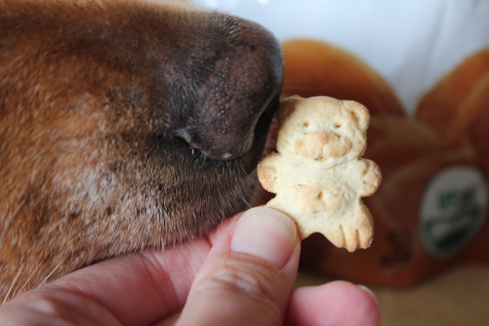 Grandma Lucy Dog Treats Review at James Glassop blog