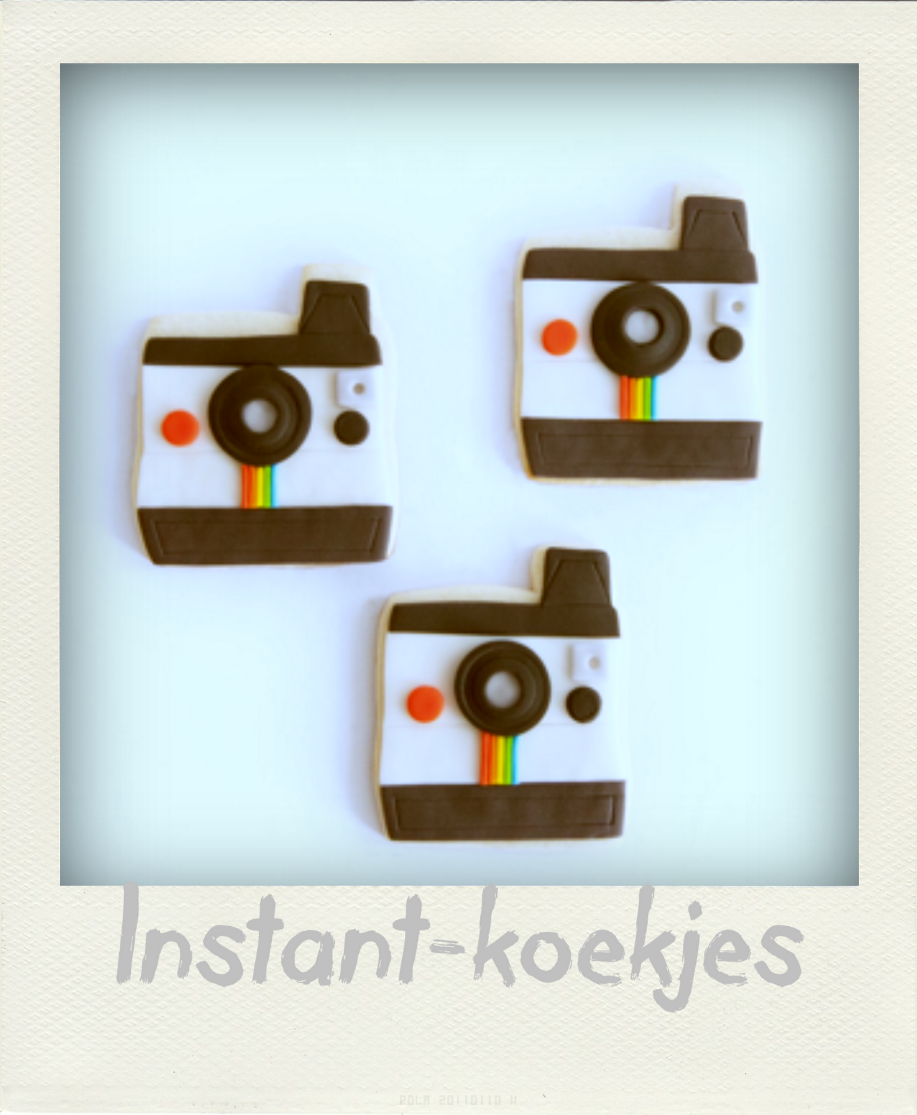 Polaroid notes Polaroid Koekjes polaroid-notes-polaroid-koekjes