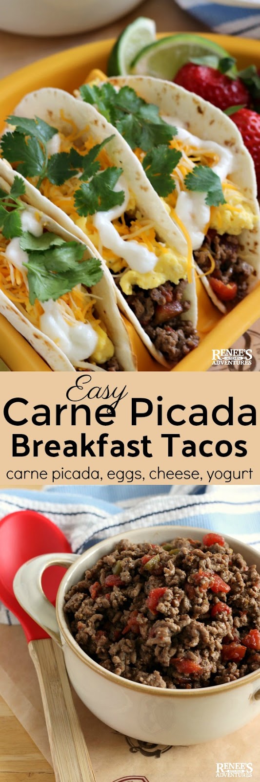 Carne Picada Breakfast Tacos | Renee's Kitchen Adventures