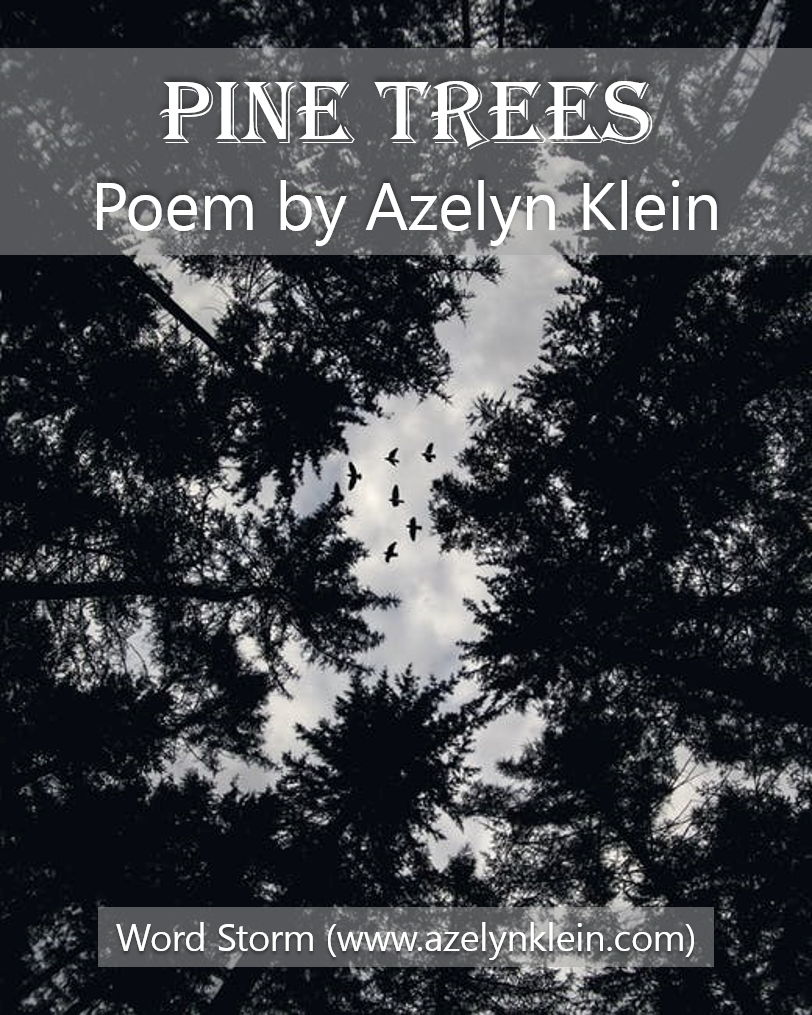 Word Storm: Poem: Pine Trees