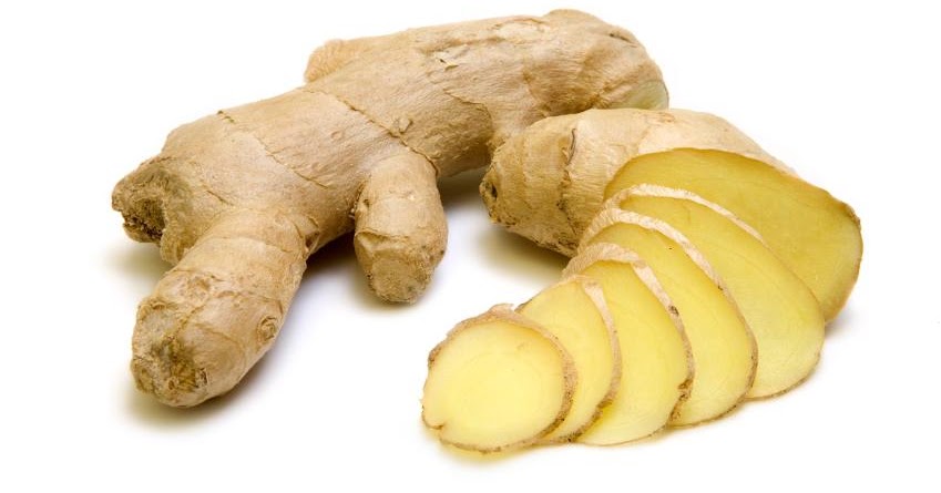 ANPP Animales y Plantas de Perú: Kión o Jengibre Ingrediente Principal ...