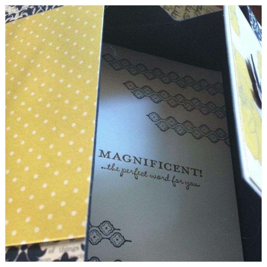 studiono8: Magnificent ...the perfect word for you