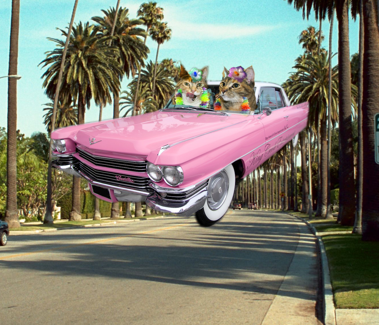 Peaches and Paprika: Flying a Pink Cadillac to our Love Shack