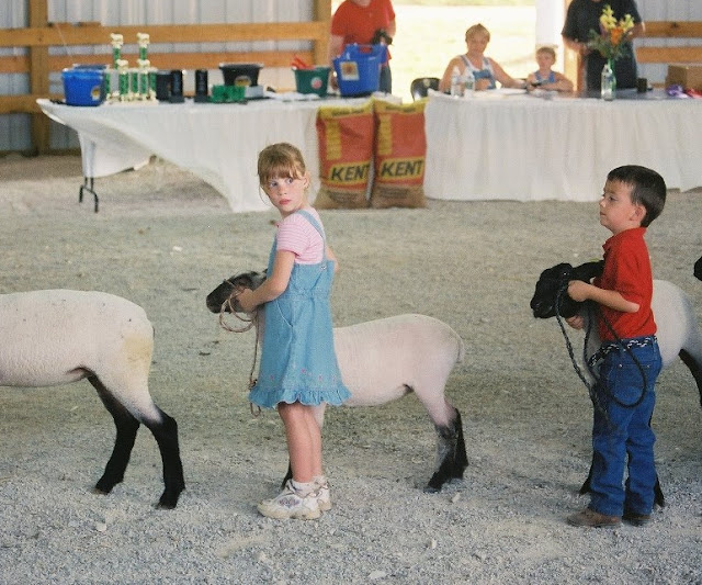 BarnScoop: 4-H/FFA Market Livestock Projects for Beginners