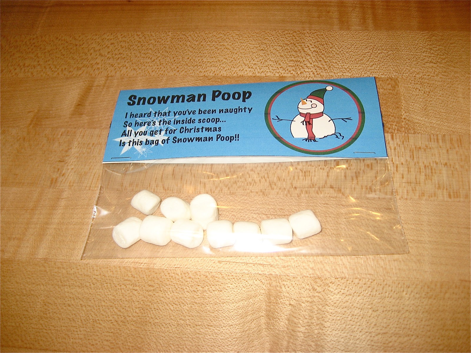 Crafts and Chaos: Snowman Poop Project