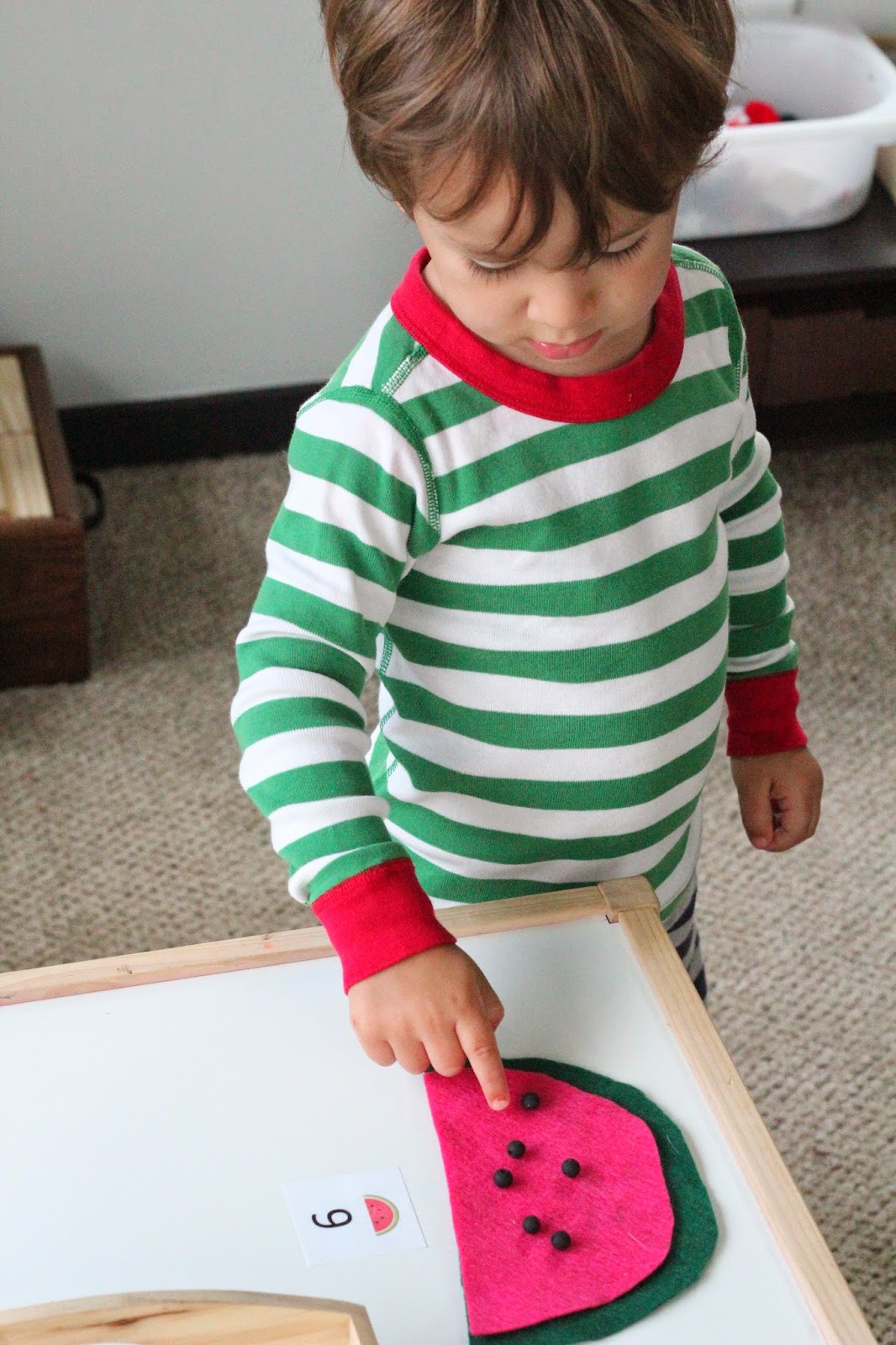 Watermelon Seed Counting