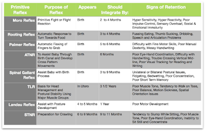 Therapyland : Reflex Integration and Development