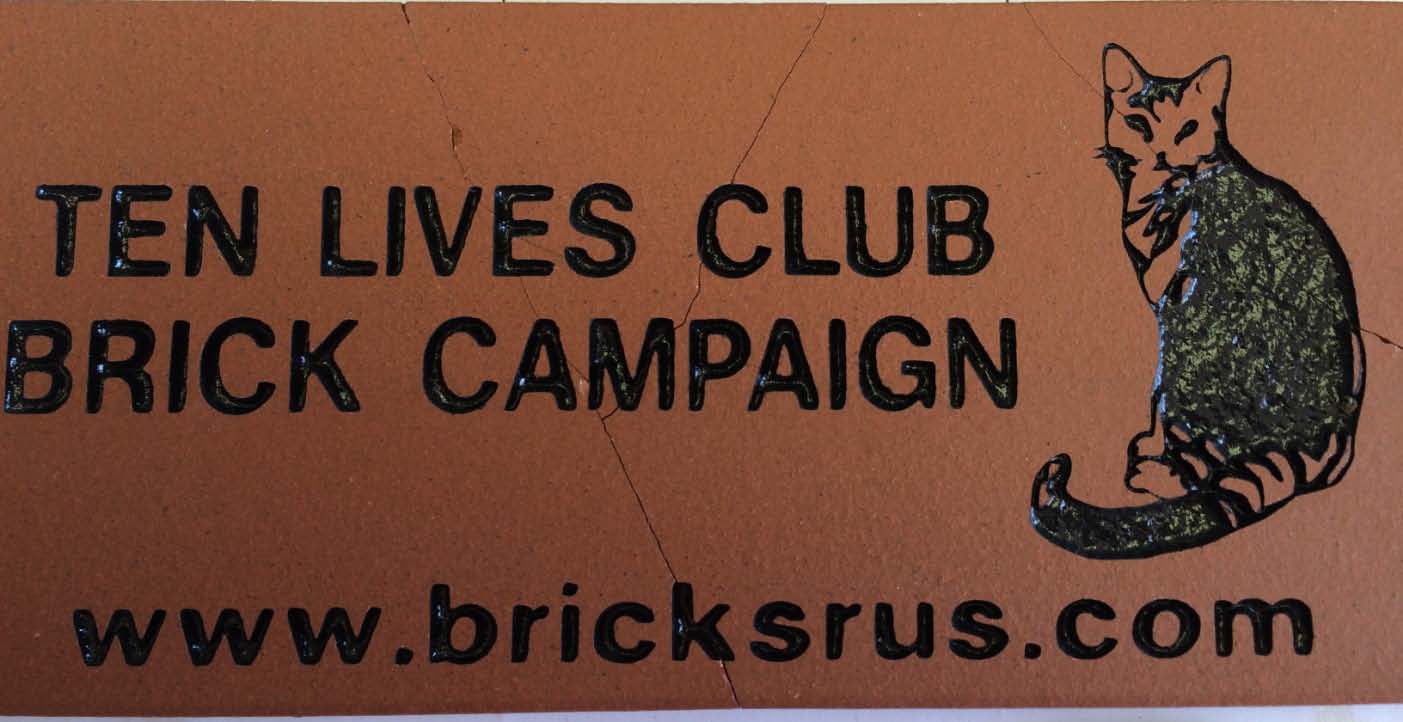 Ten Lives Club Cat Adoption Group: TEN LIVES CLUB BRICK CAMPAIGN "KICKS ...