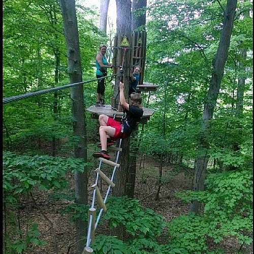 Go Ape Together --- Tree Top Adventure For Two In North Park | Macaroni ...