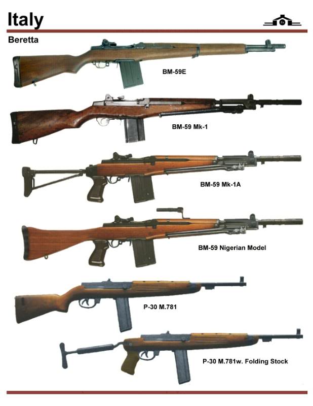 SI VIS PACEM, PARA BELLUM: IL FUCILE DELLA MIA "NAJA": BERETTA F.A.L. B ...