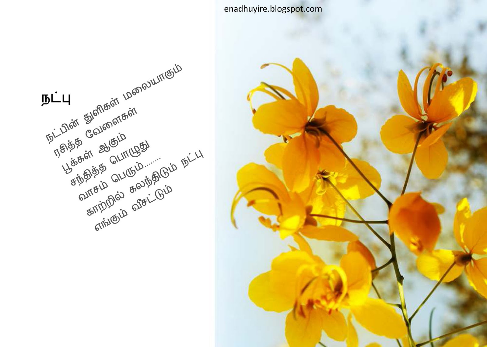 வானம் வசப்படும்: natpu