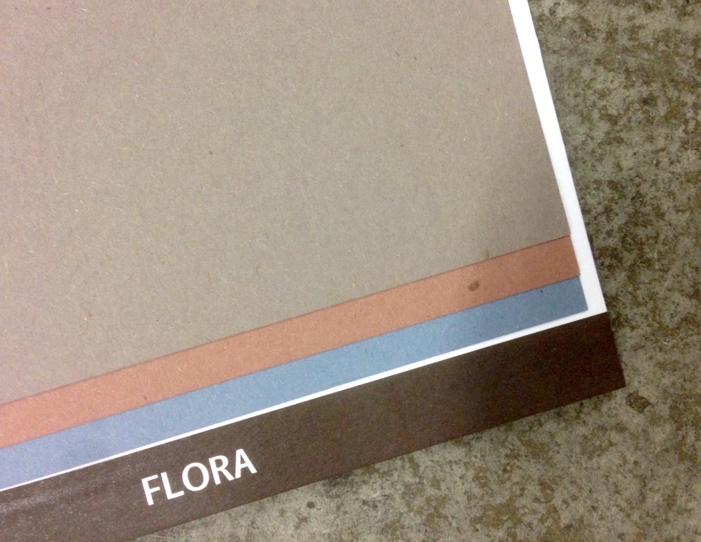 Justin's Amazing World At Fenner Paper: New Flora Swatch