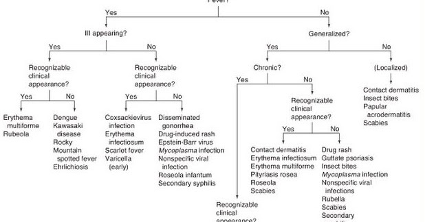 ASK DIS: Maculopapular Rash : Diagnosis