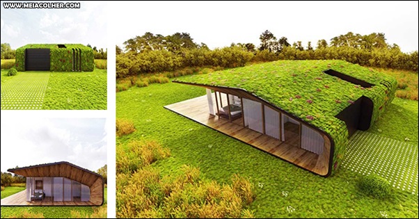 RW PAISAGISMO: KNOW-HOW: COMO PLANEJAR UM TETO VERDE