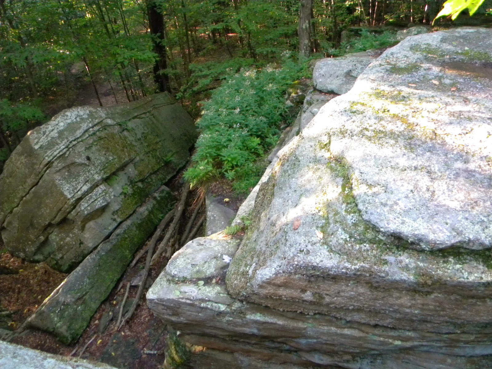 Trail2Creek: World's End State Park