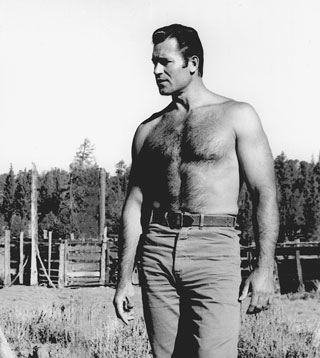 Tube Dreams: Night of the Muscle-Bear