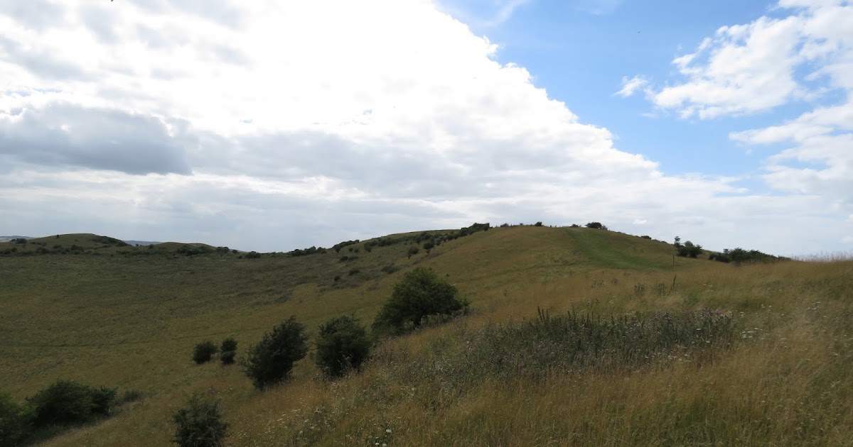 Ivinghoe Hills Nature Reserve Bird Migration: The Habitat