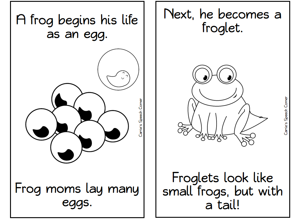 Carrie's Speech Corner: Life Cycle of a Frog