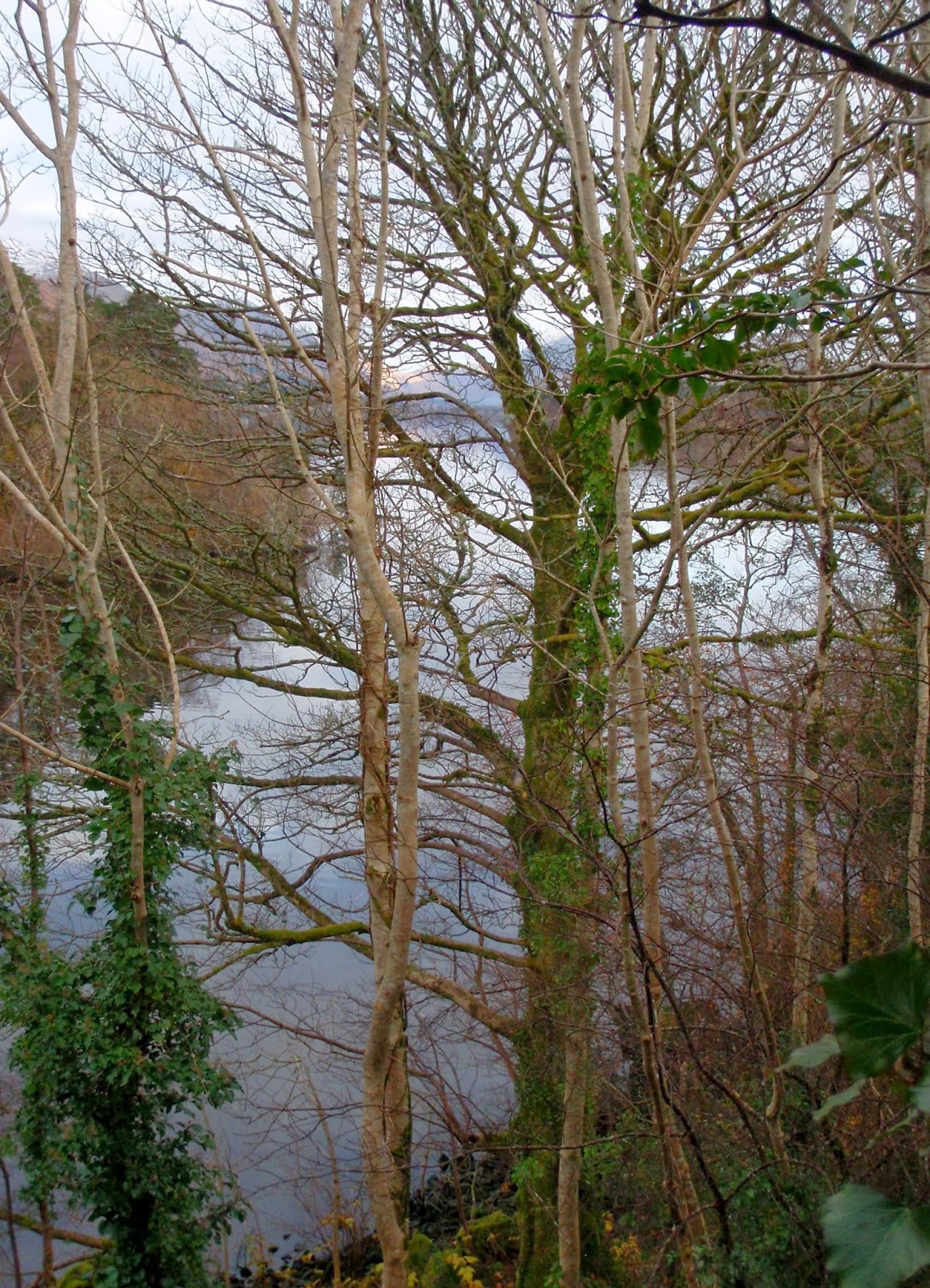 Jurassic's Blog.: Loch Awe and the Lower Orchy.