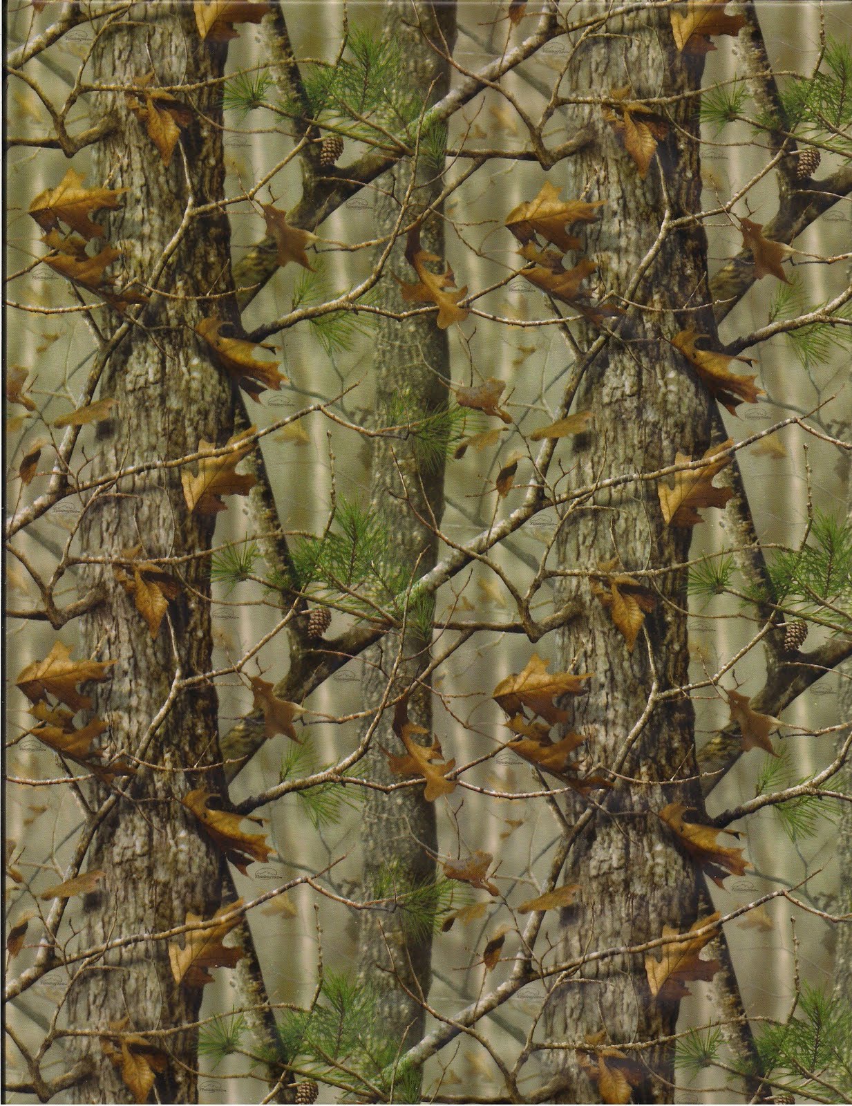 Camouflage firearms: Hunting Camo