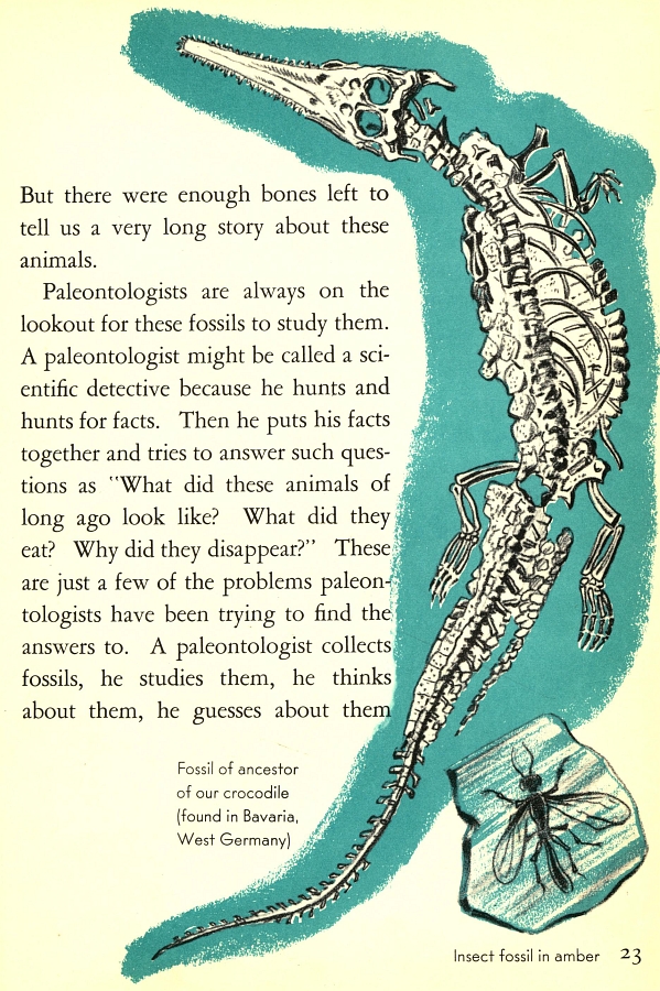 Love in the Time of Chasmosaurs: Vintage Dinosaur Art: Discovering ...