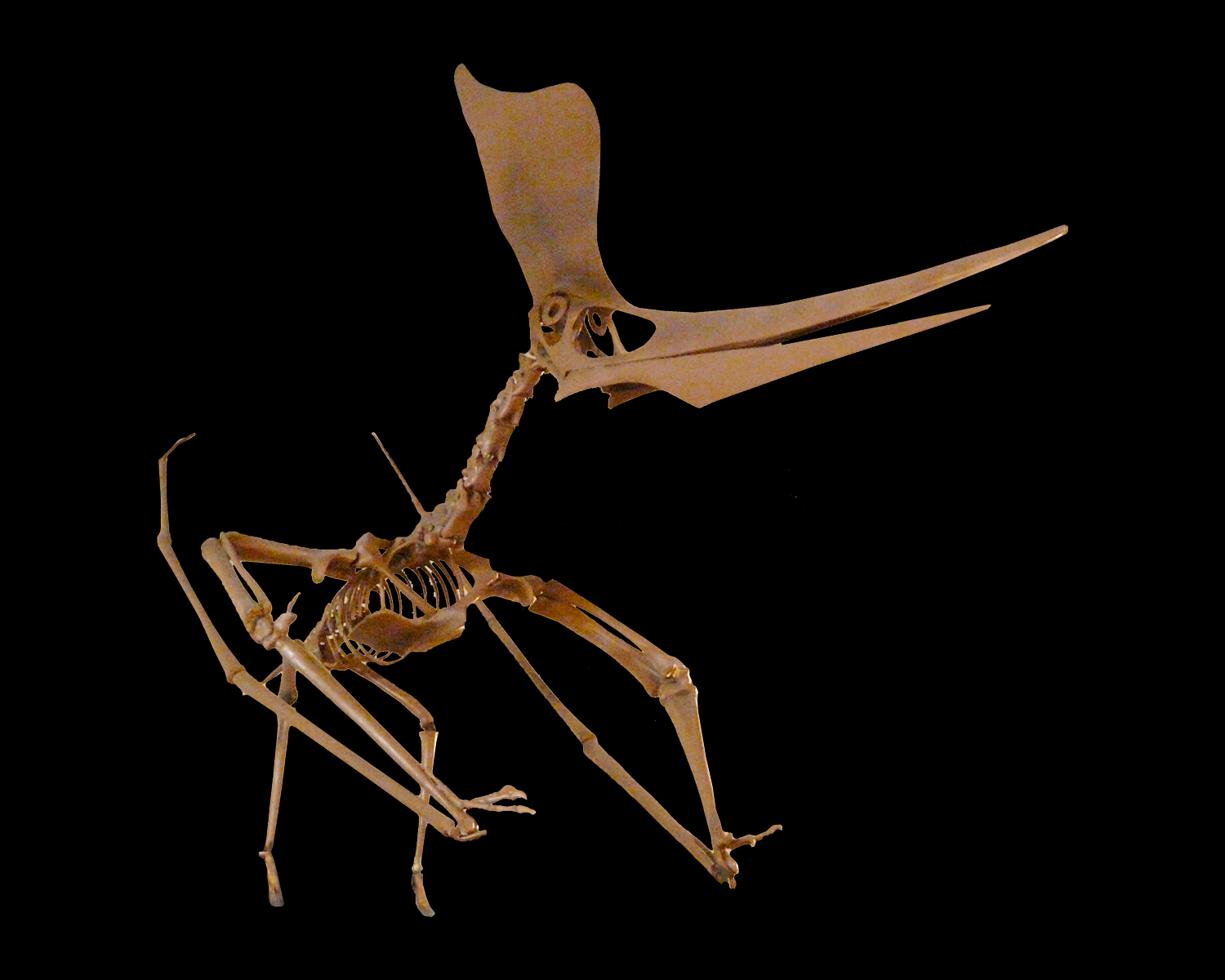 The Expeditioner's Discovery Guild: A little bit of Everything: Museums ...