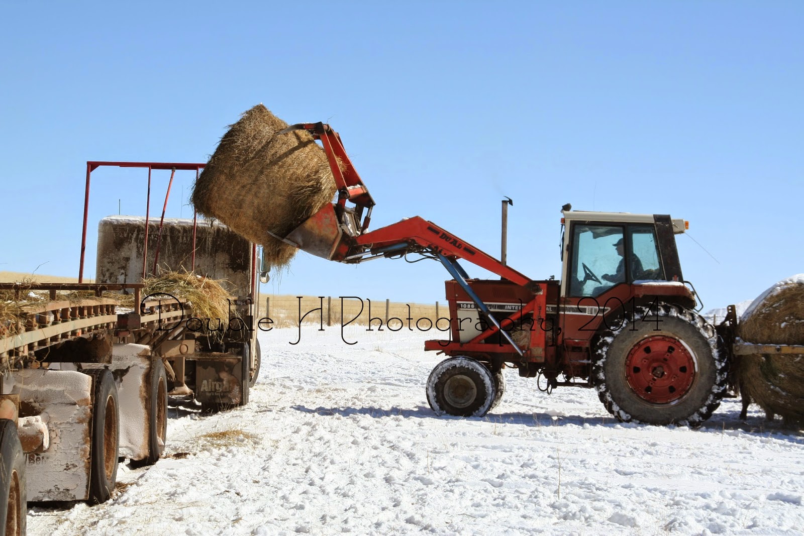 Double H Photography: Hauling Hay
