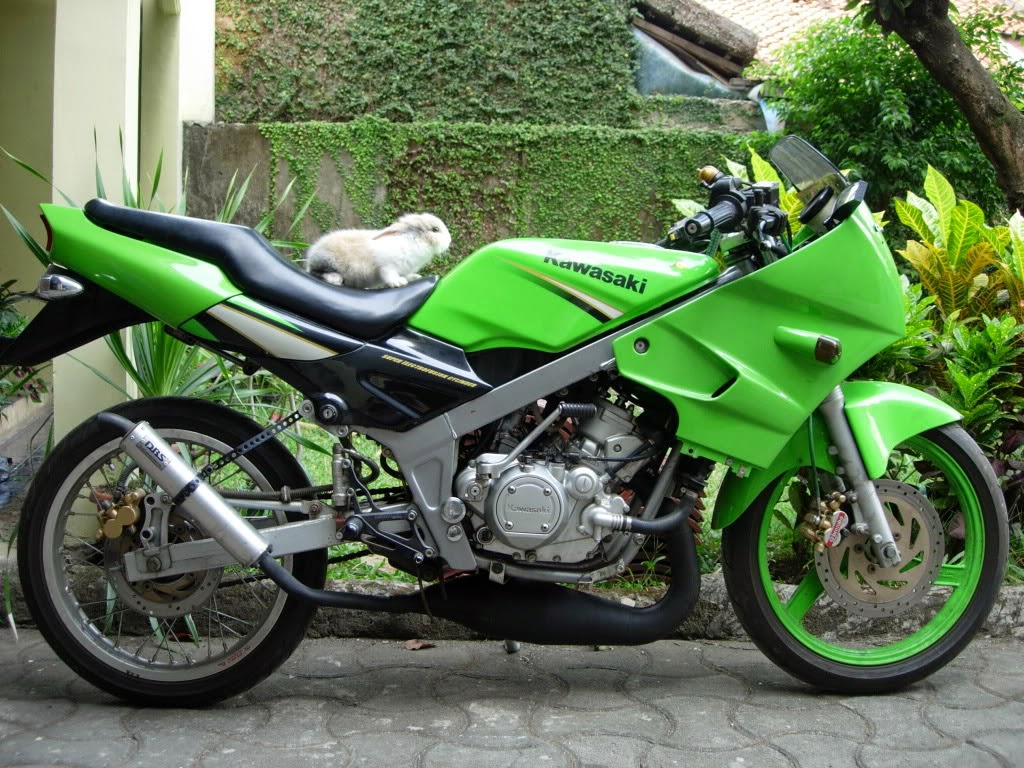 LuPUz Si BoD0h: modified ninja R SSR