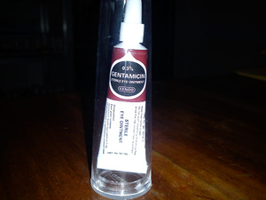 CENDO GENTAMYCIN Salep Mata, Tetes Mata (Gentamisin Sulfat) | Berbagi ...