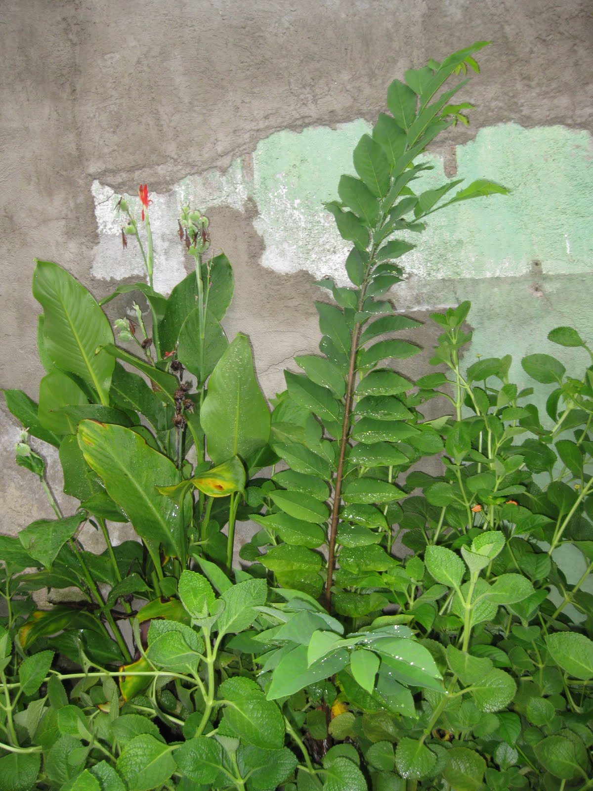 vagabond: December 2011