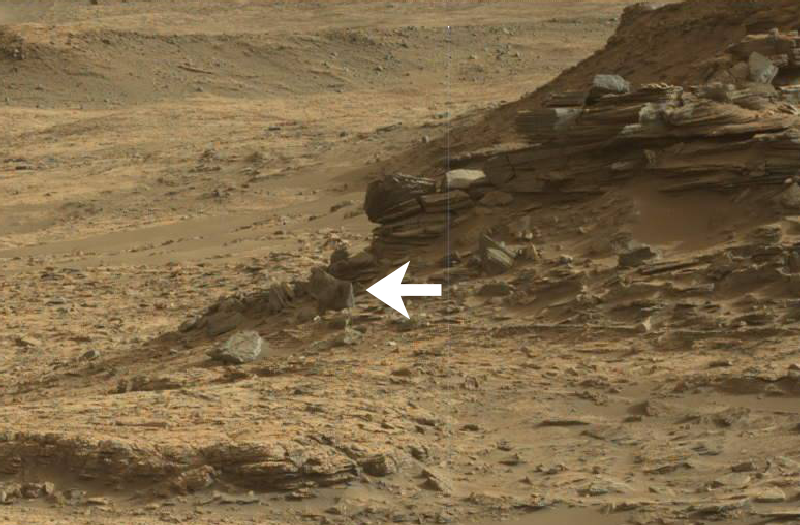 Strange Creature Spotted On Mars?