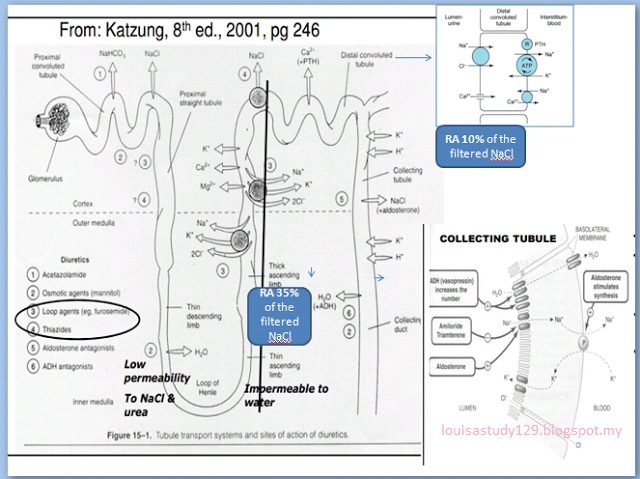Study Pack: Diuretics