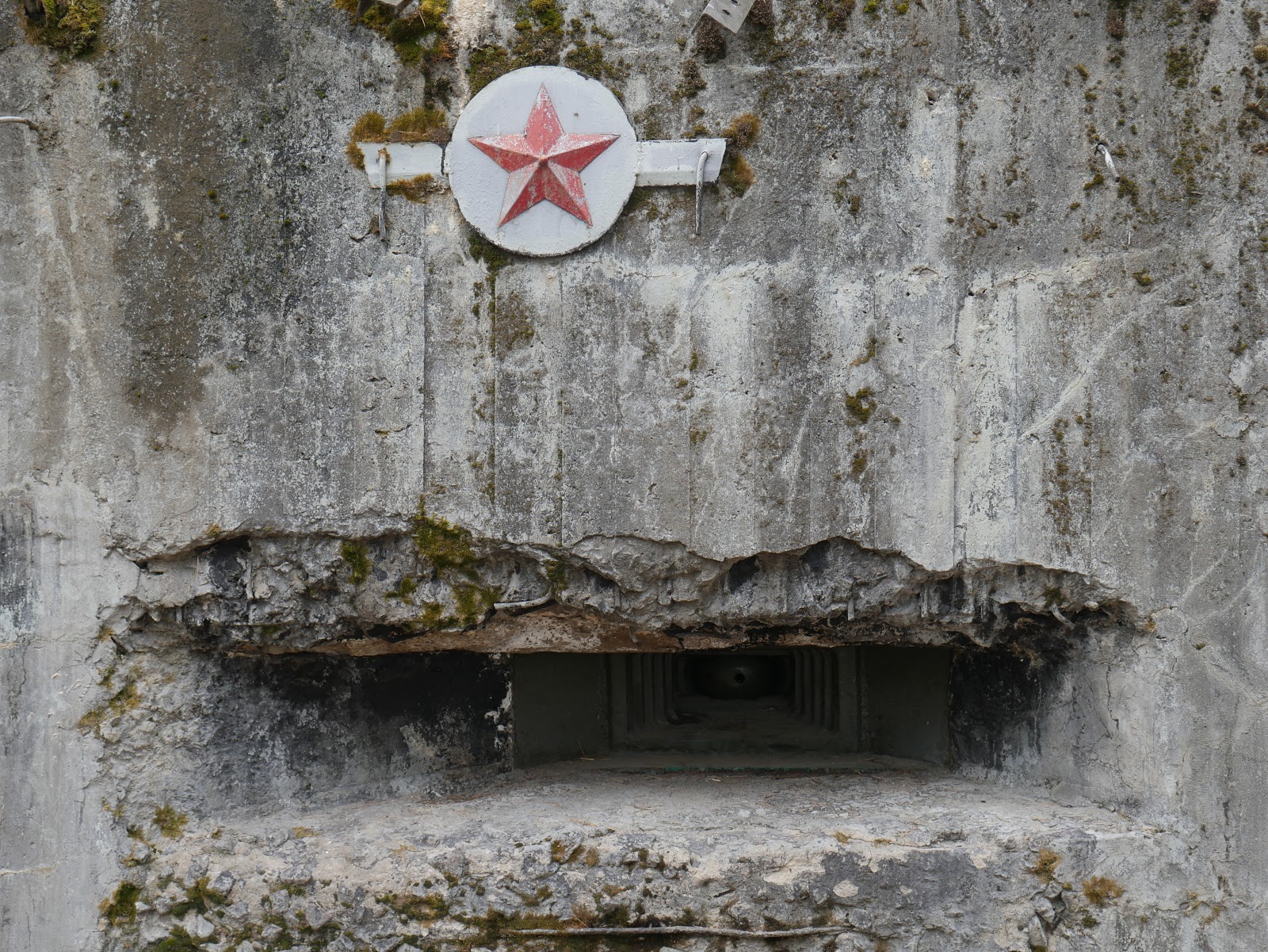 Walking the Battlefields: The Anatomy of a Soviet Bunker (1941-44)