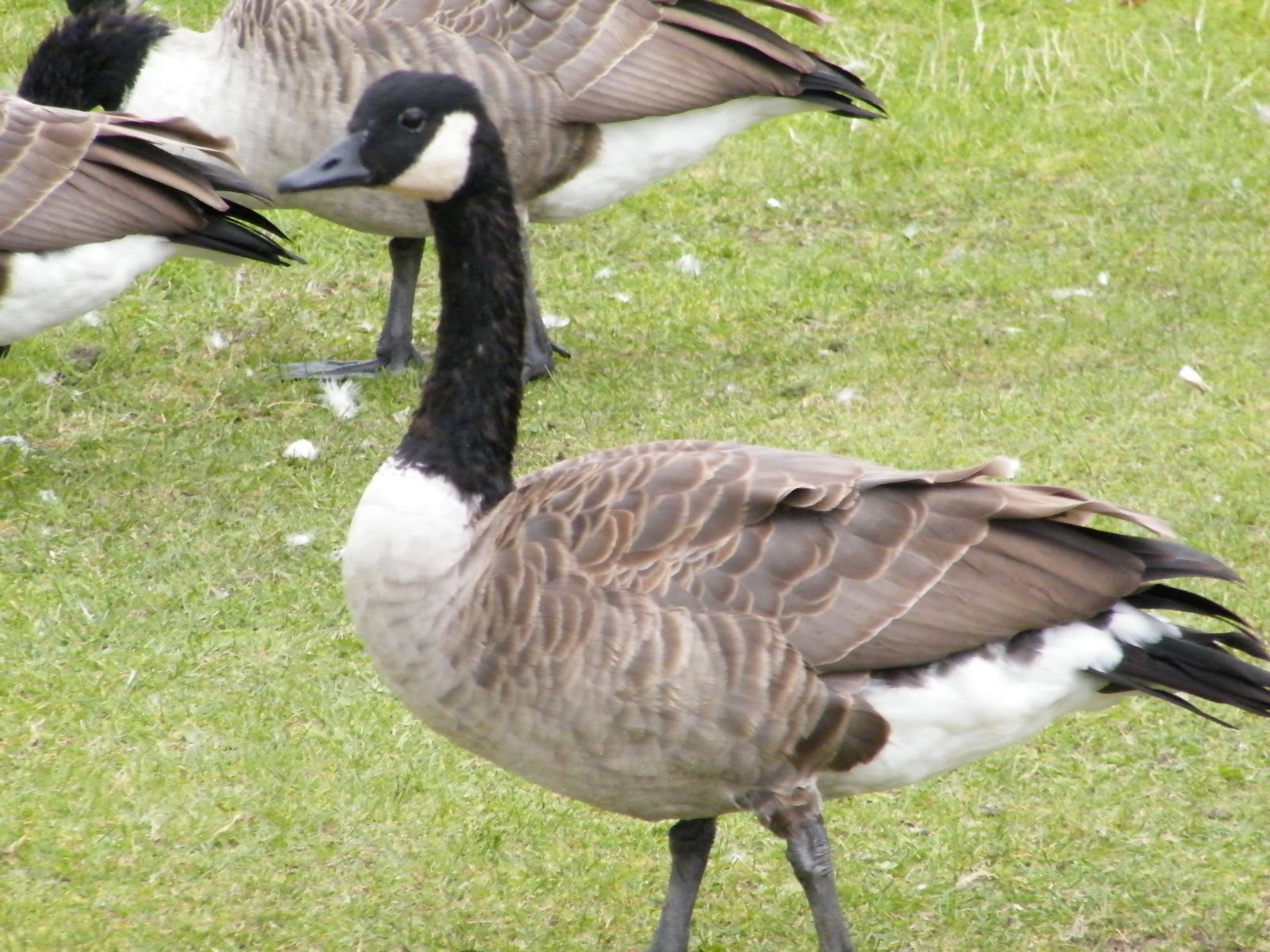 Canoes, Mountains & Caves: September 2011