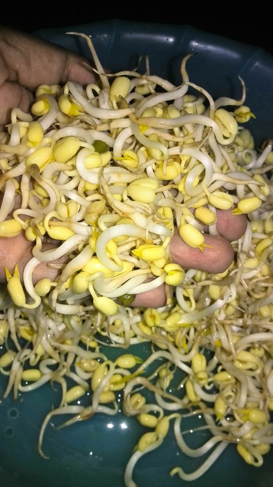 namakucella: BUAT TAUGEH SENDIRI