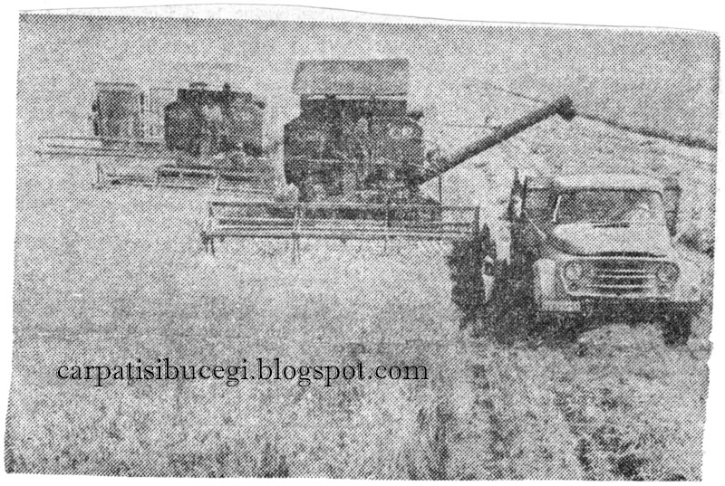 Carpati si Bucegi: SR 113