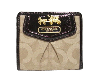 ファンタスティック Coach