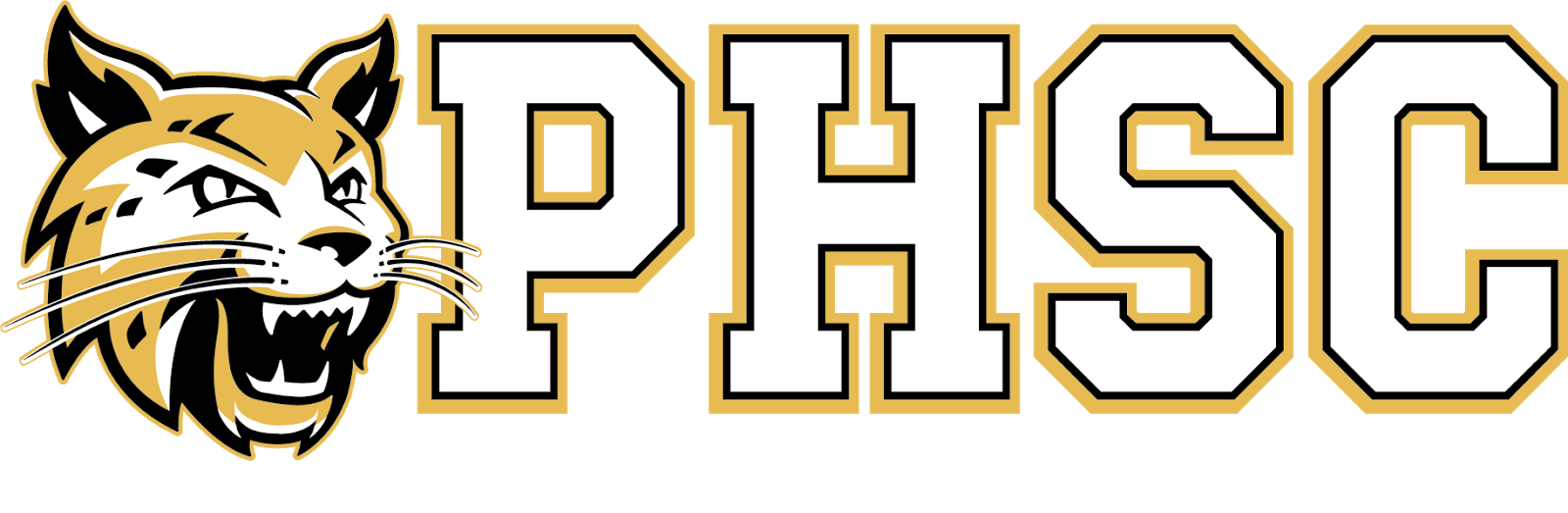 Sabrina Alexis Scott : HS / College Education