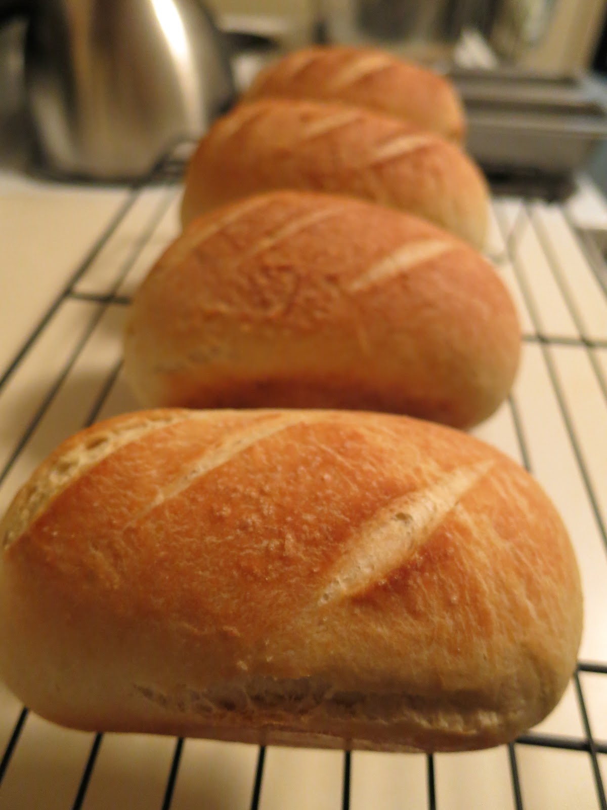 haphazard musings and creations: baby breads