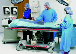 Fluoroscopy Stretcher ~ Kashelara.com