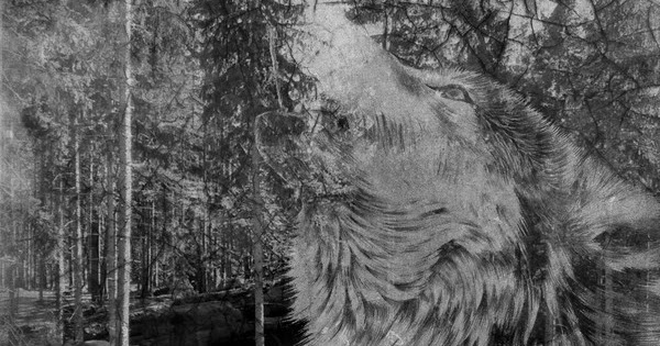 Wolfenburg "Wolfenburg" - Recenzja