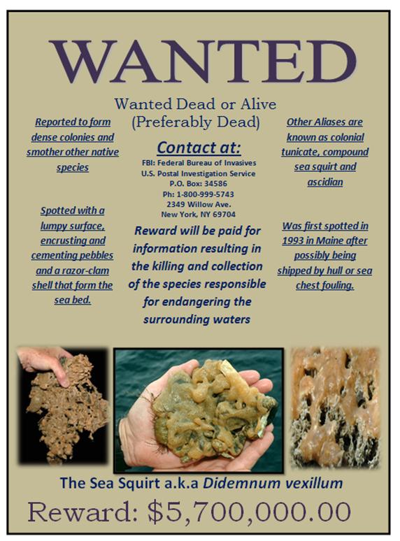 Marine Biology and Co.: WANTED!!!!! ;)